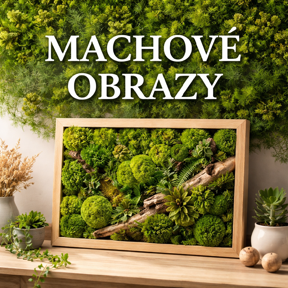 Machové obrazy - Ozdôbky nádeje